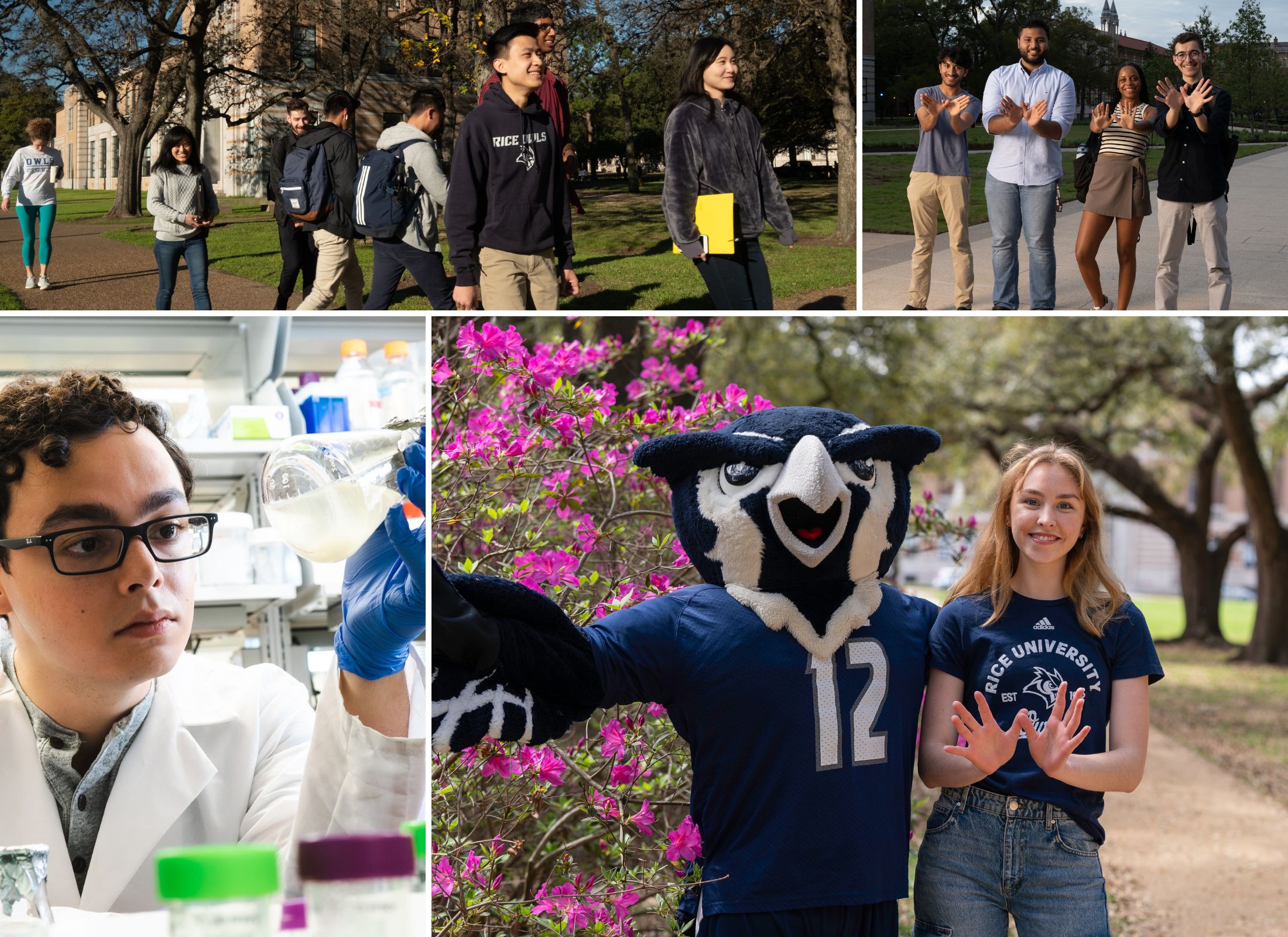 Rice earns national recognition in Princeton Review’s 2026 Best Colleges rankings | Rice News ...